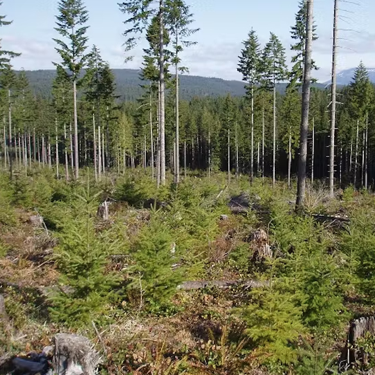 Home | CSFS at UBC Farm